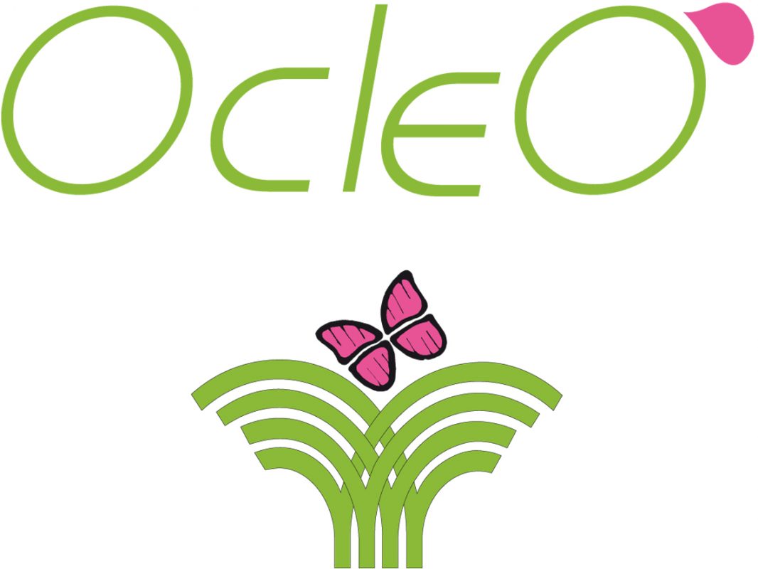 Vendita cosmetici professionali online e prodotti per estetica ...